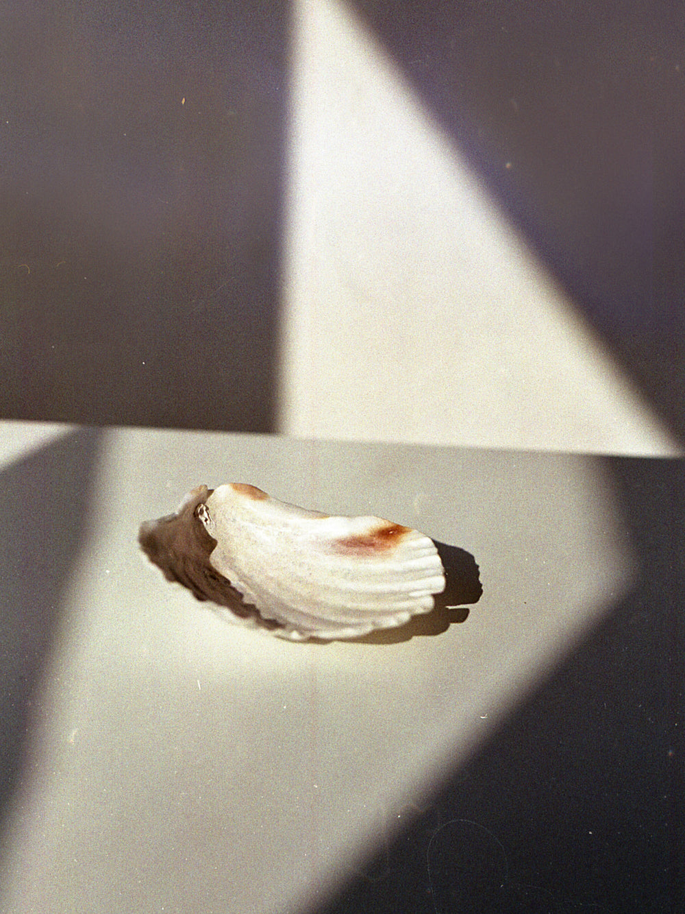 Postcards – Hereu Studio