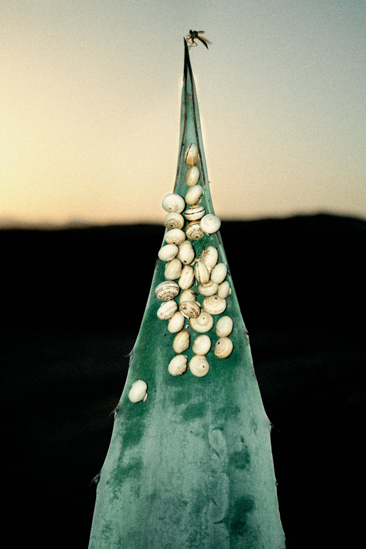 Postcards – Hereu Studio