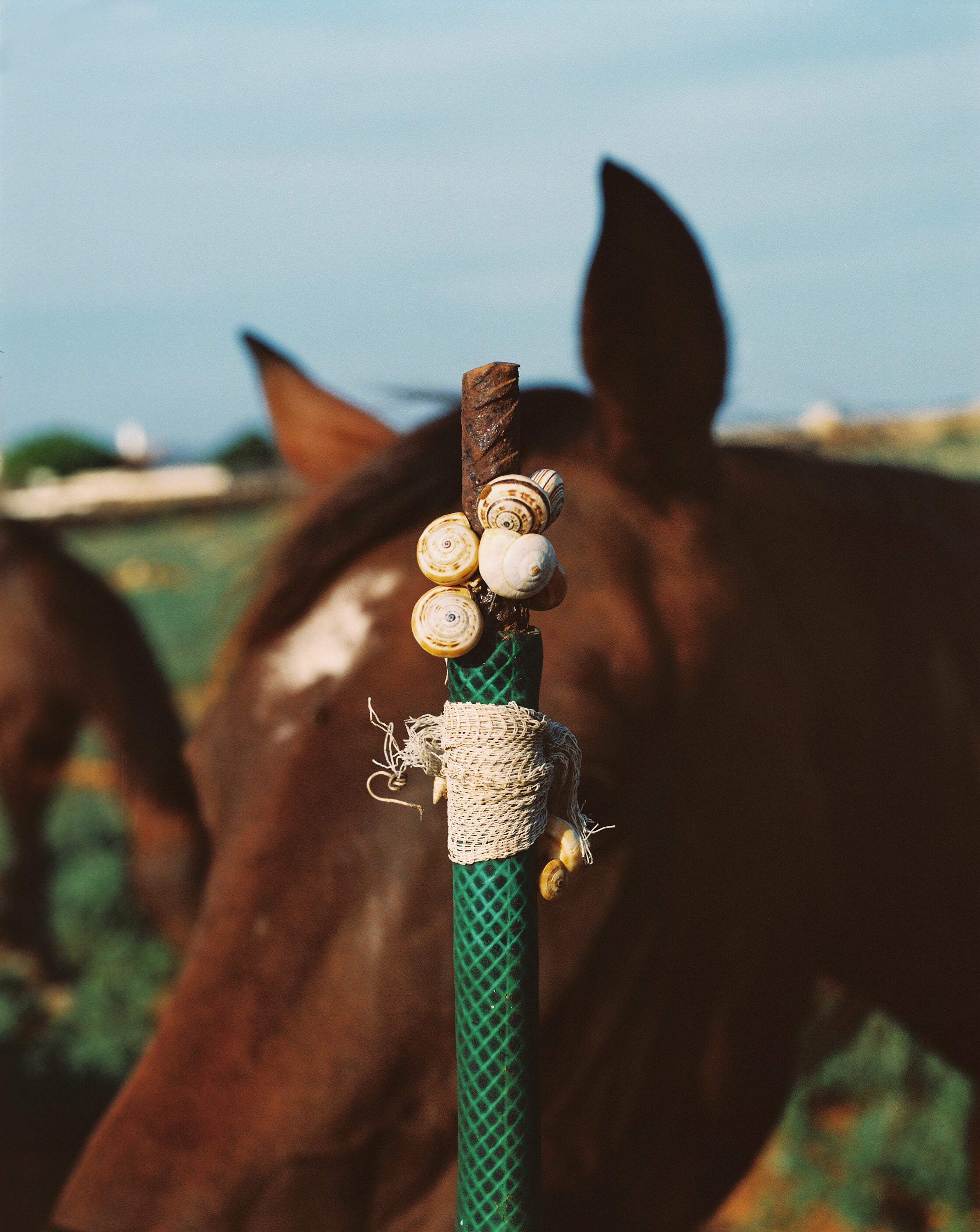 Postcards – Hereu Studio