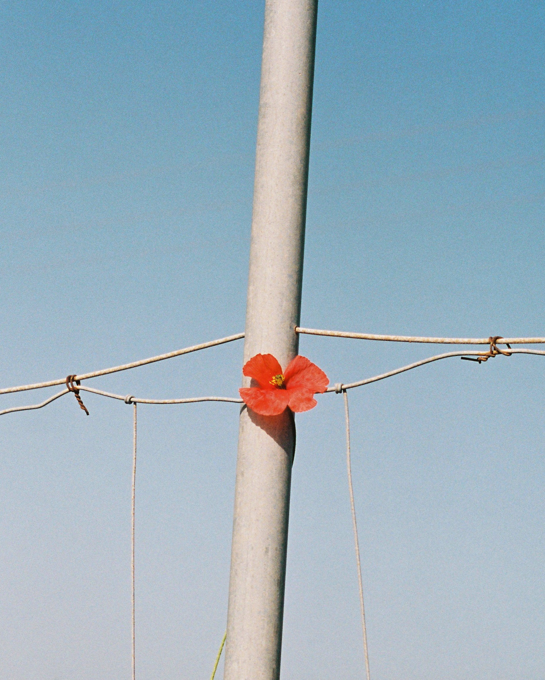 Pòrtol, Majorca, Spain – Hereu Studio