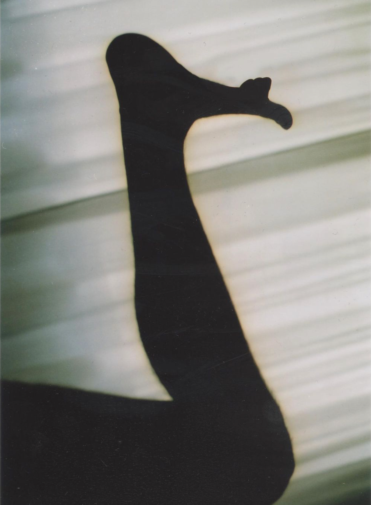 Postcards – Hereu Studio